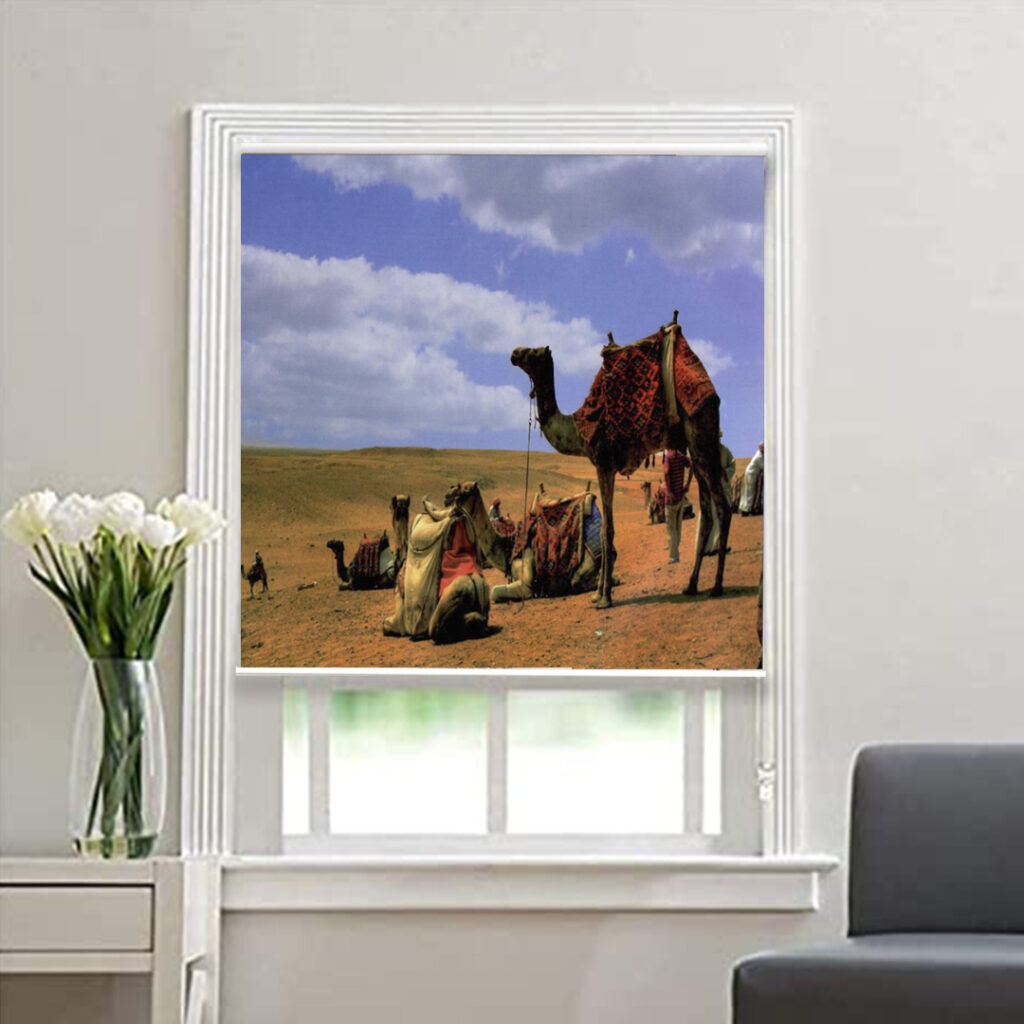 Ready made Blackout Roller Blinds | Children Blackout Blinds